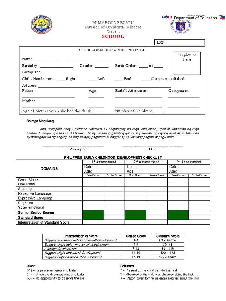 Pupil's ECD Progress Report Profile | PDF | Hand | Object (Grammar)