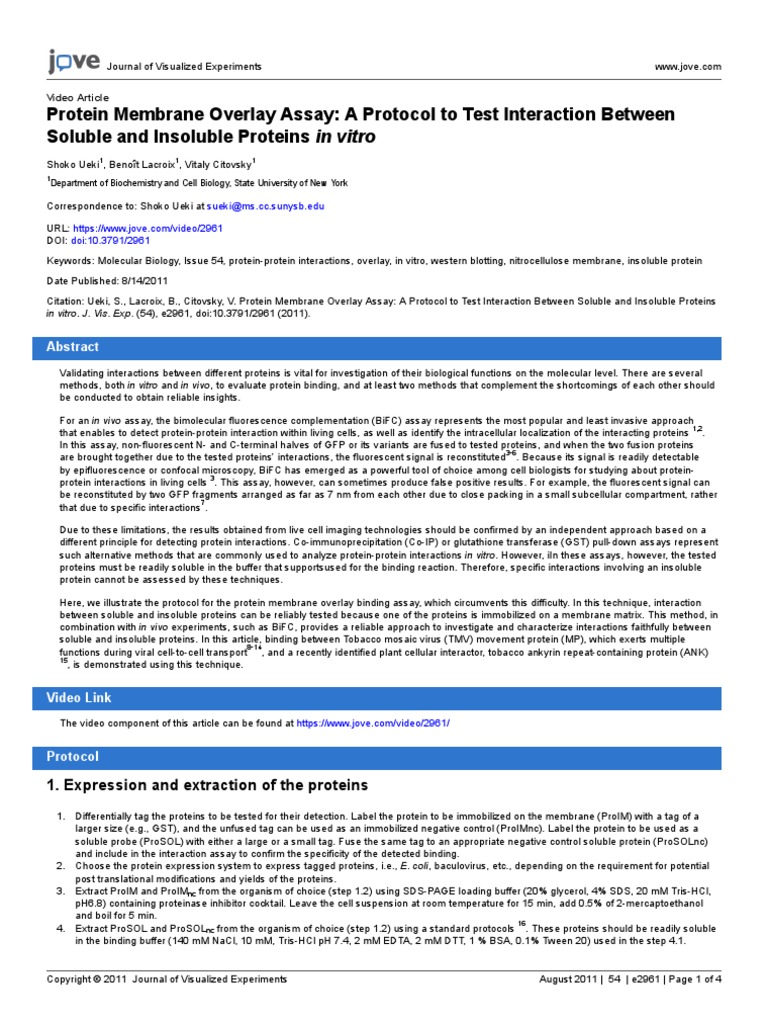 Protein Membrane Overlay Assay | PDF | Structural Biology | Proteins