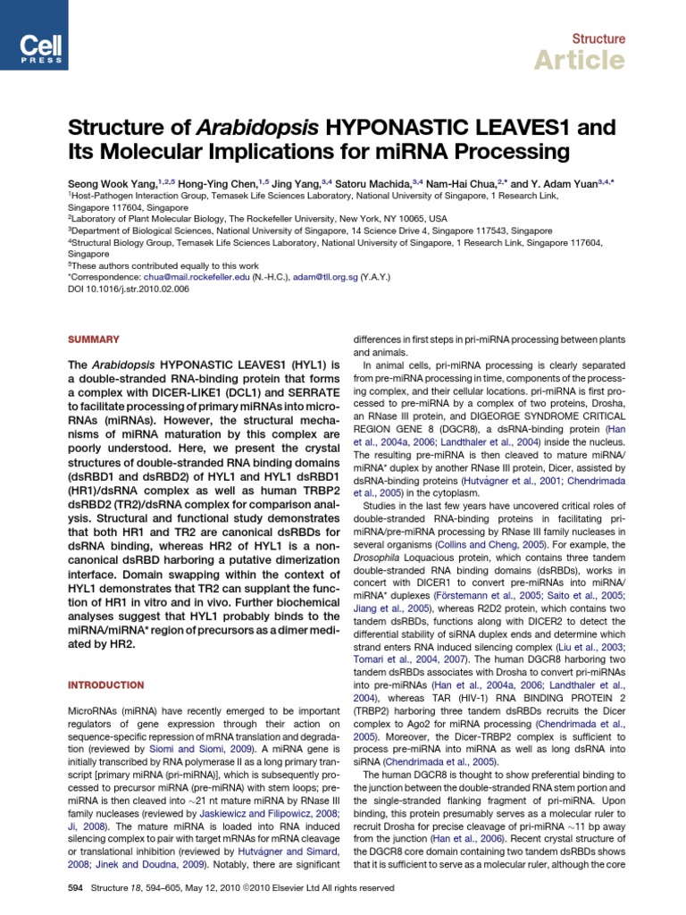 Structure of Arabidopsis HYPONASTIC LEAVES1 and | PDF | Micro Rna ...