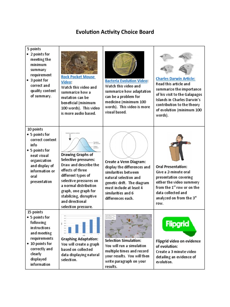 Evolution Activity Choice Board | PDF | Natural Selection | Biological ...