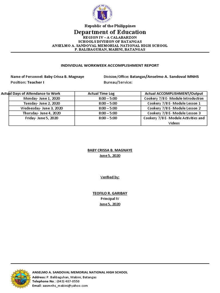 Workweek Accomplishment Report | PDF