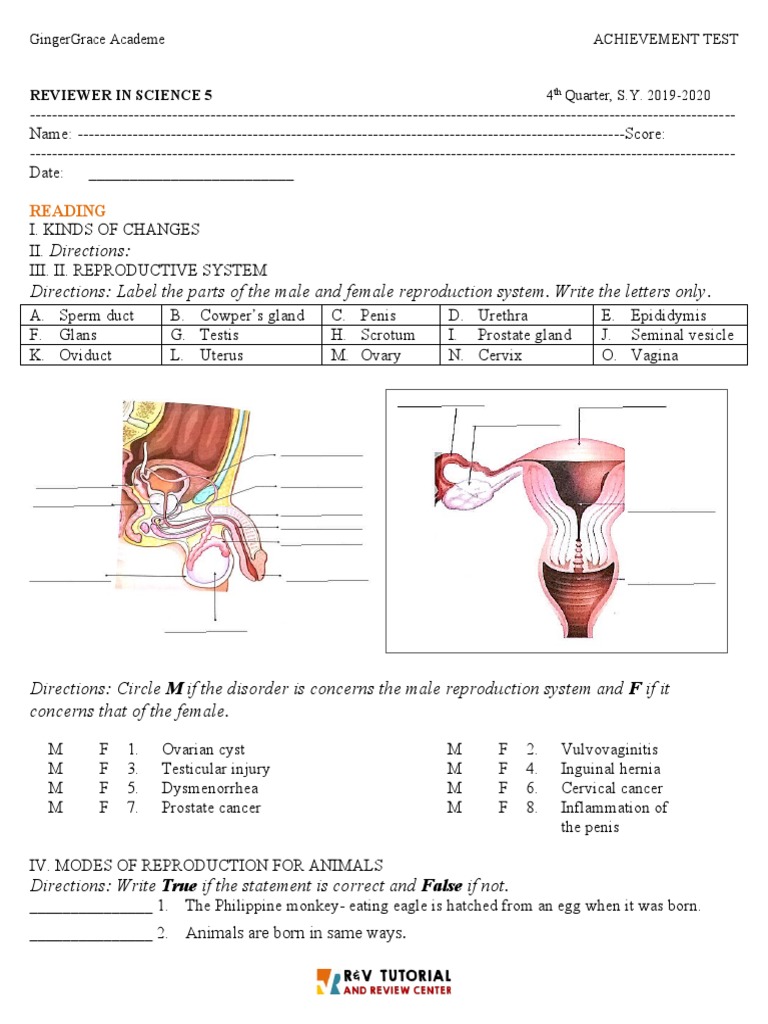 Reading Reviewer In Science 5 Pdf Reproductive System Force