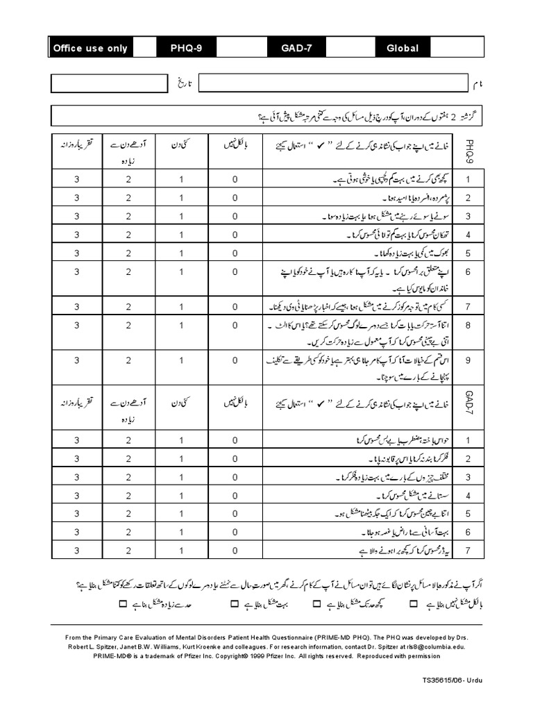 Urdu Gad-7 Instruments PDF | PDF