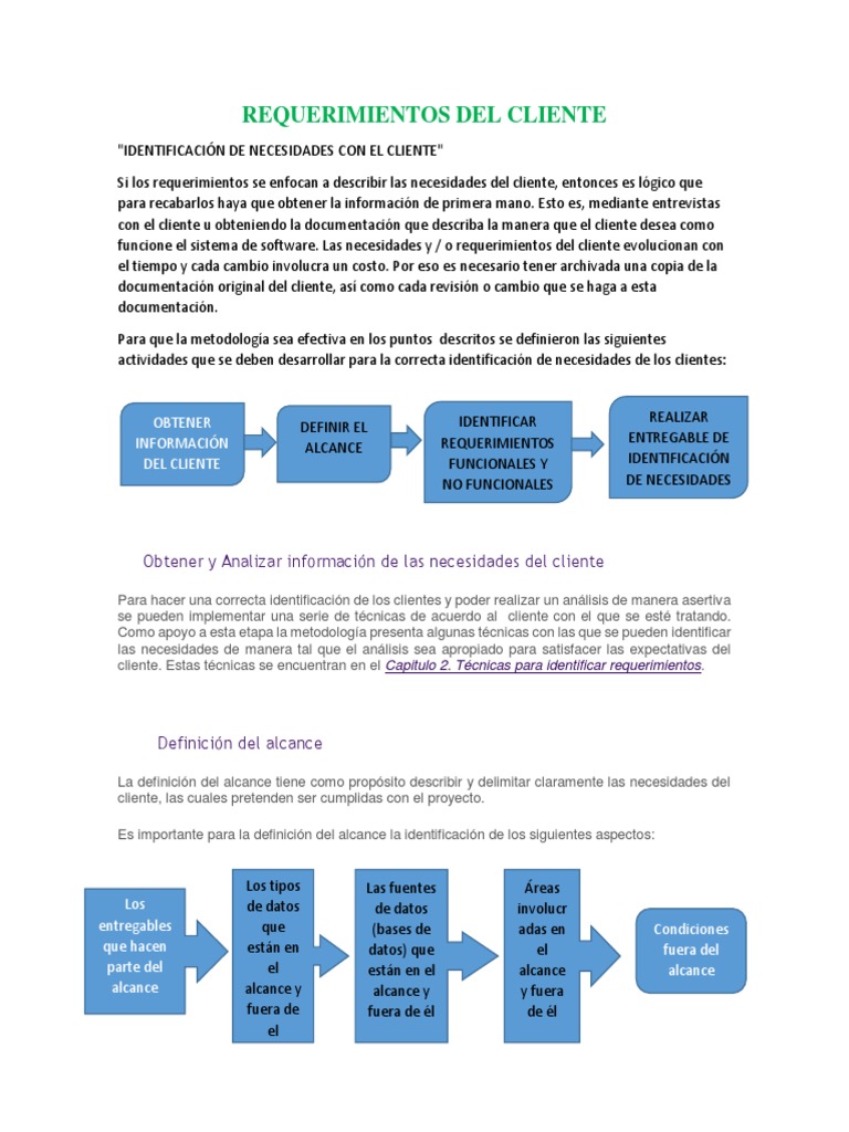 1.7. - Requerimientos Del Cliente PDF | PDF | Cliente | Business
