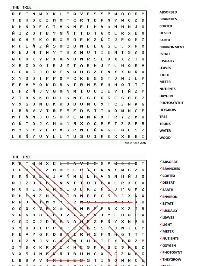 Absorbed Branches Cortex Desert Earth Environment Estate Iusually ...