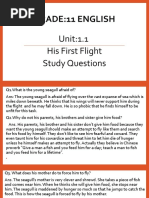 His First Flight Summary | PDF