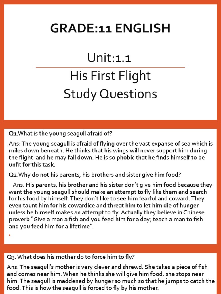 His First Flight Question and Answer | PDF