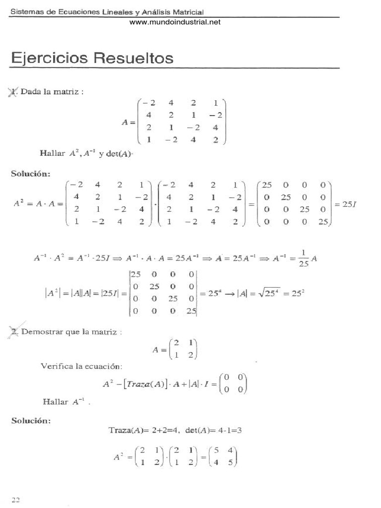 Problemas Resueltos de Algebra Lineal | PDF