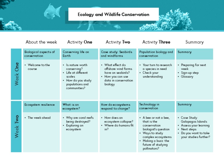 Ecology and Wildlife Conservation Course Map | PDF