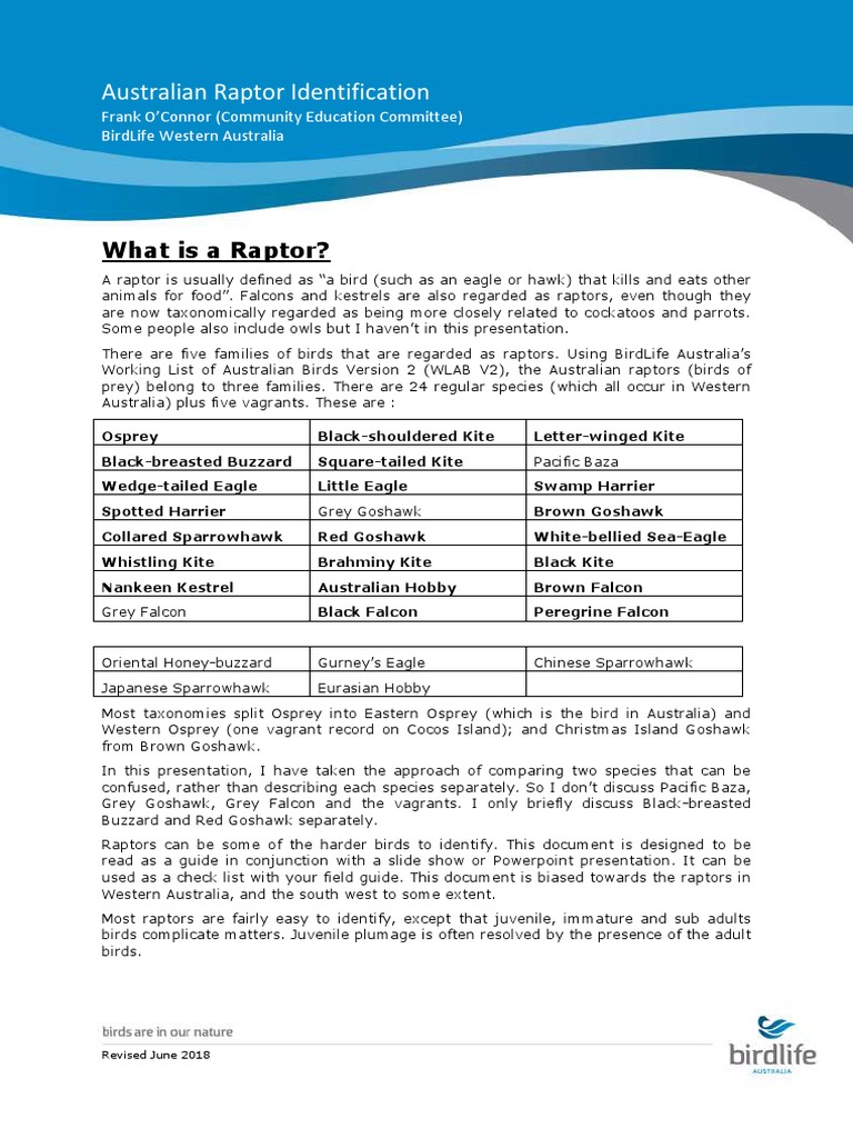 Australian Raptor Identification | PDF | Birds Of Prey