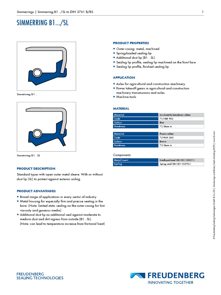 Simmerring B1... /SL: Product Properties | PDF | Mechanical Engineering ...