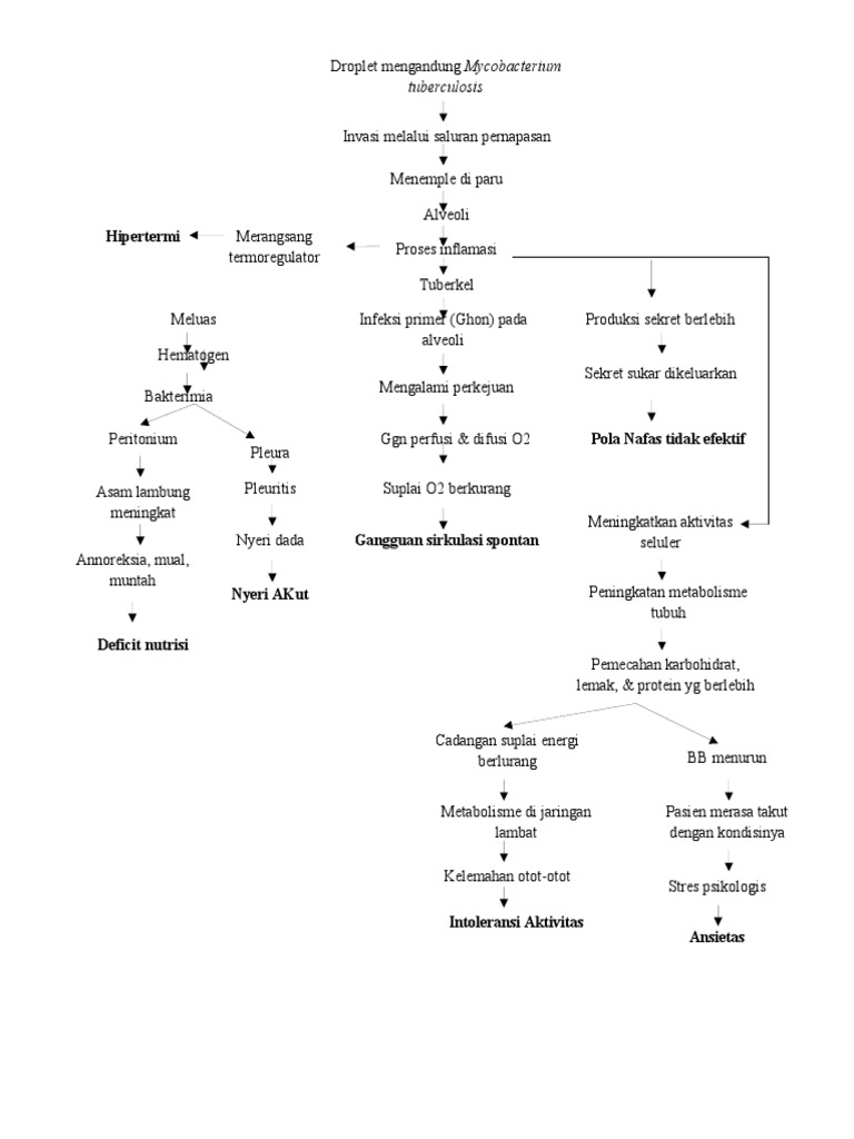 Pathway TB Paru | PDF