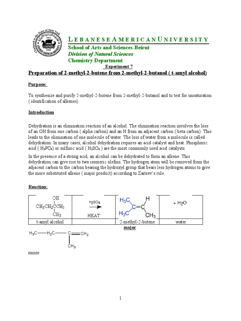 2 Methyl 2 Butanol Dehydration