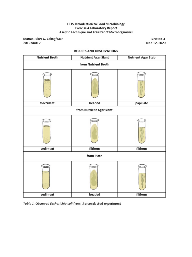 Pseudomonas Aeruginosa Agar Slant
