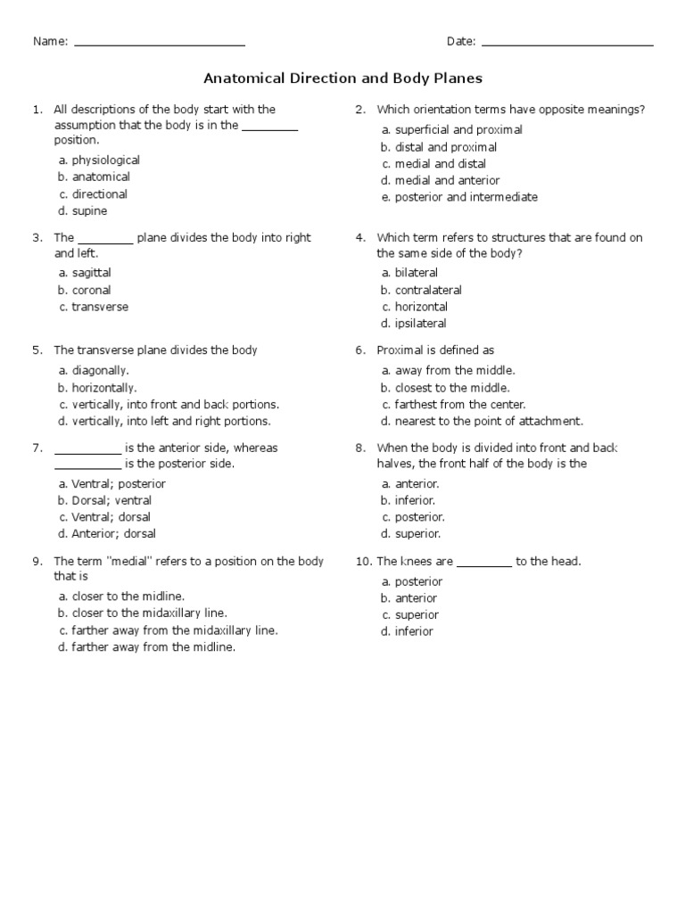 Anatomical Direction and Body Planes | PDF | Anatomical Terms Of ...