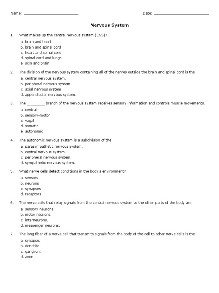 Nervous System | PDF