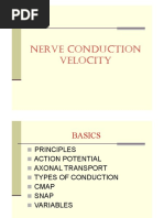 Sample Emg/Ncv Report - Normal Study | PDF | Electromyography ...