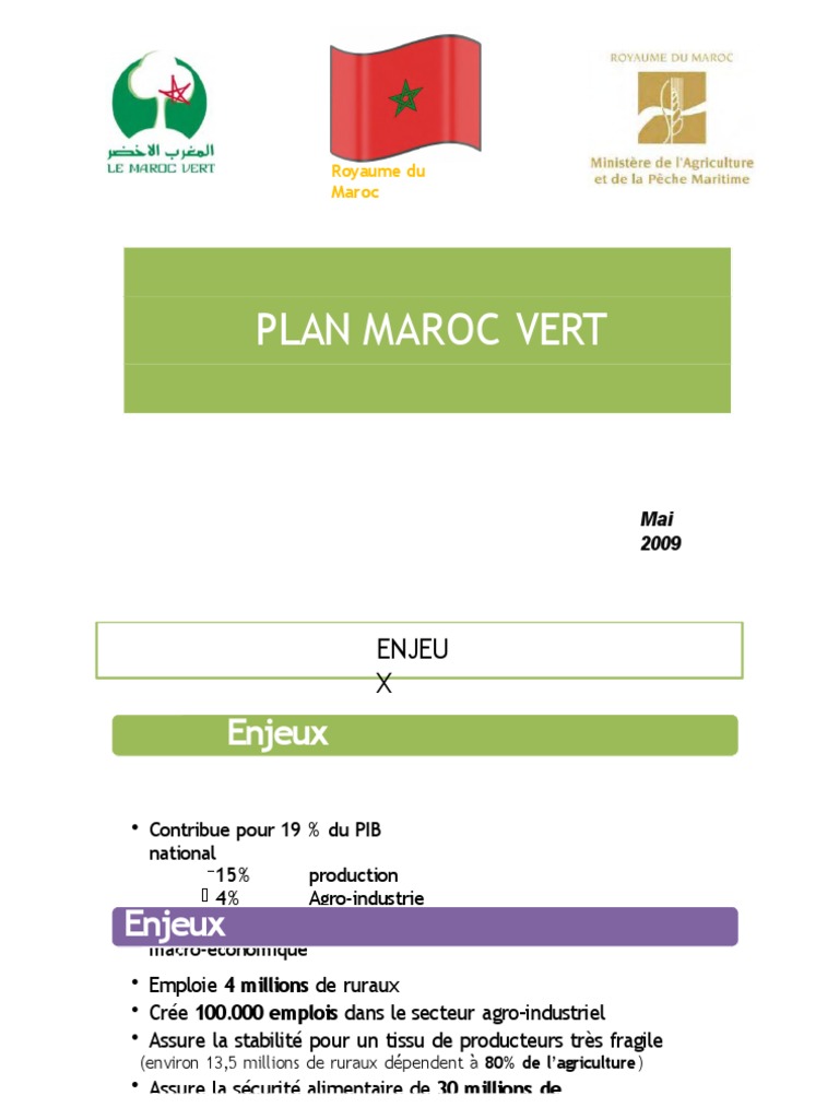 Hajjaji Plan Maroc Vert Strategie | PDF | Maroc | Subvention