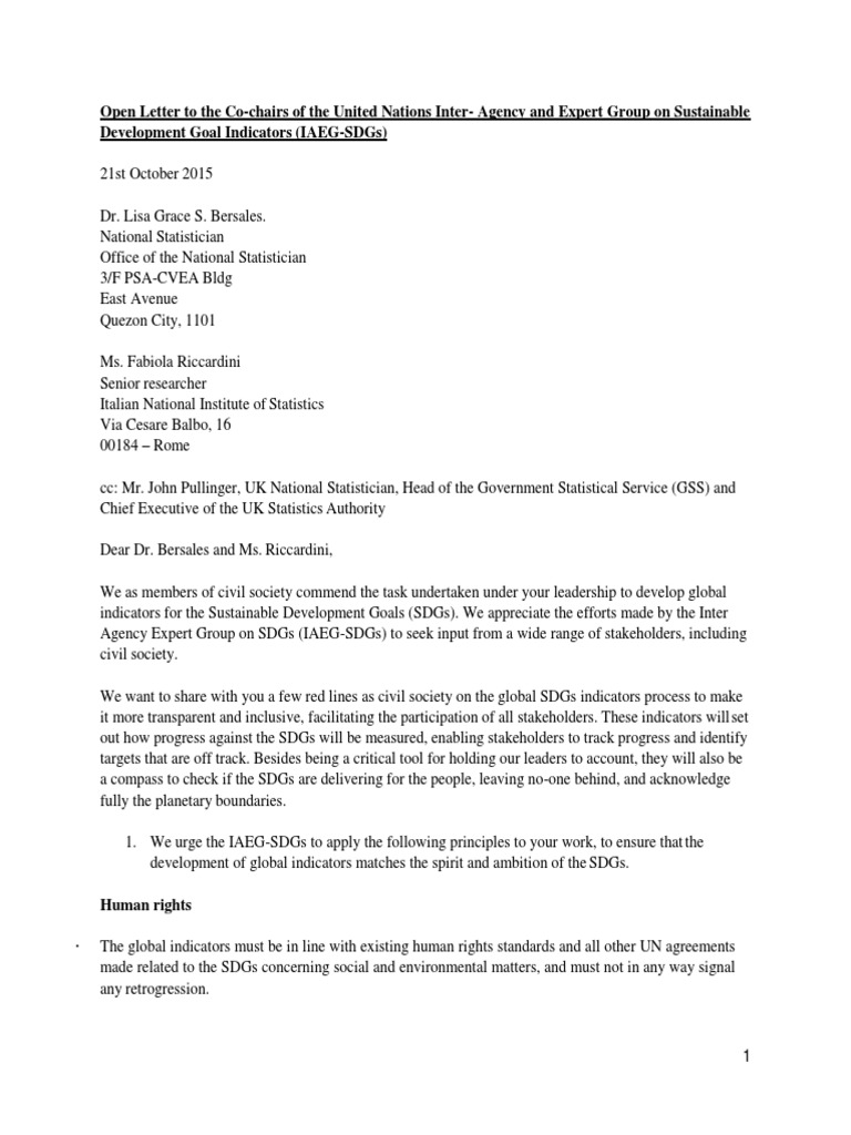 Open Letter To The Co-Chairs of The United Nations Inter-Agency and ...