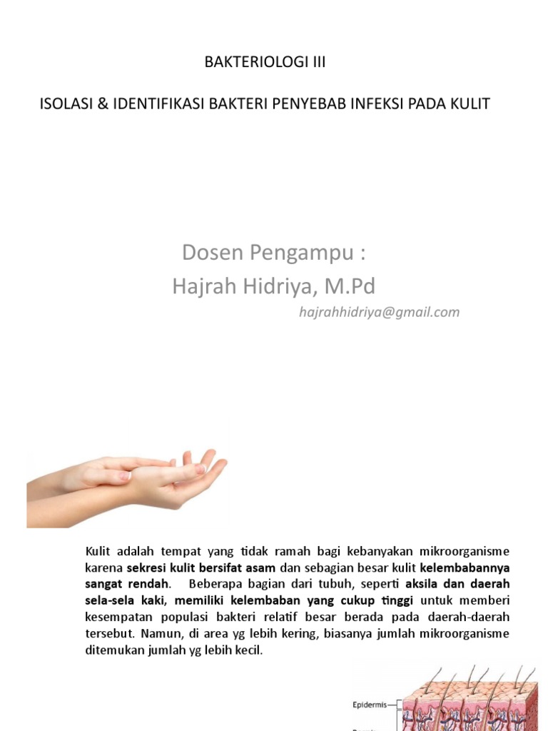 Isolasi & Identifikasi Bakteri Penyebab Infeksi Pada KUlit | PDF
