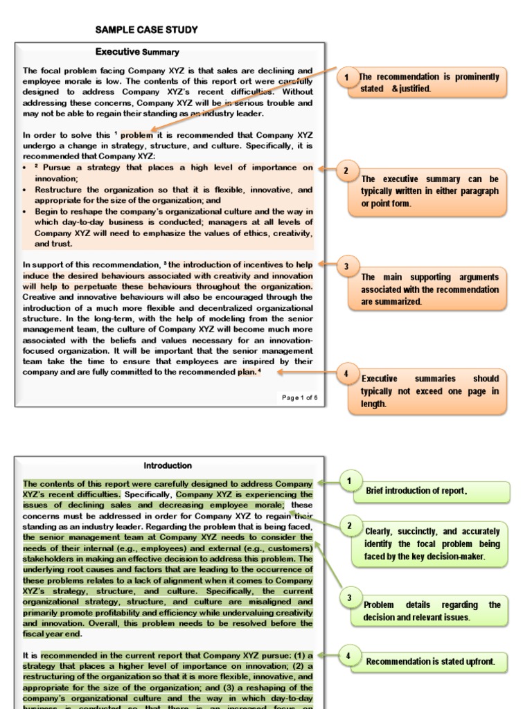 Sample Case Study PDF | PDF | Organizational Structure | Innovation