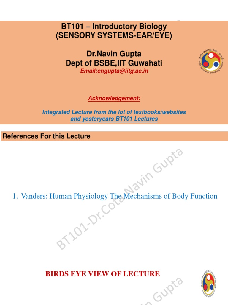 BT101 - Introductory Biology (Sensory Systems-Ear/Eye) DR - Navin Gupta Dept of BSBE, IIT ...