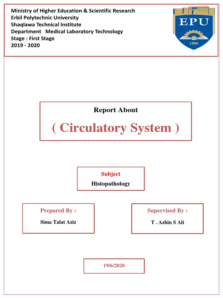 Circulatory System Report | PDF | Circulatory System | Atrium (Heart)