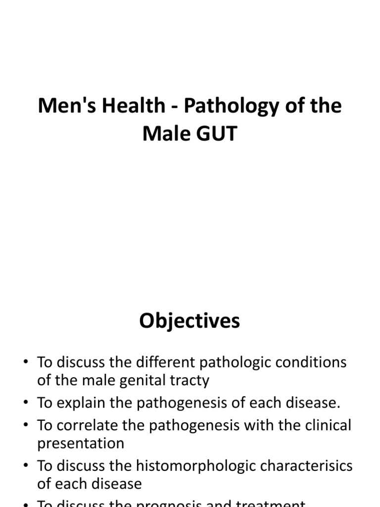 Male Genital Tract Pathology Overview | PDF | Neoplasms | Carcinoma