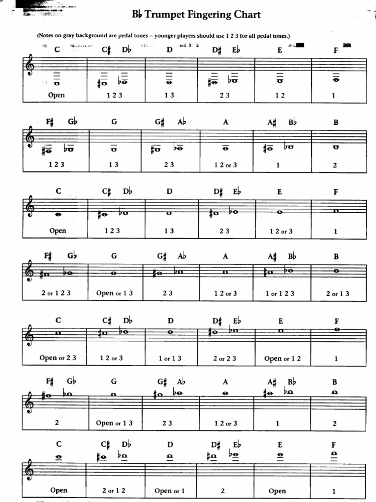 BB Trumpet Fingering Chart PDF | PDF