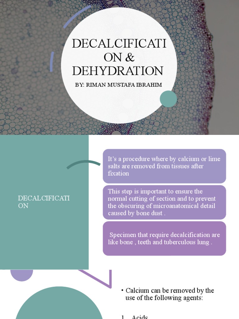 Histopath Report | PDF | Acid | Nitric Acid