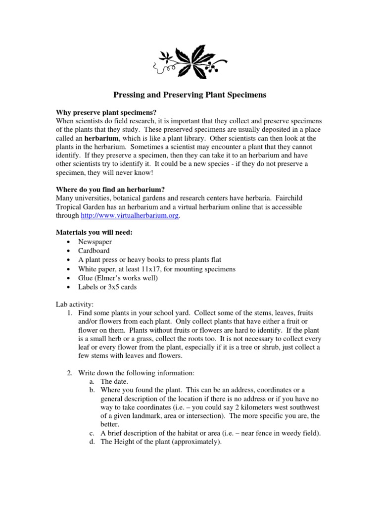 Pressing and Preserving Plant Specimens | PDF | Plants | Landscape