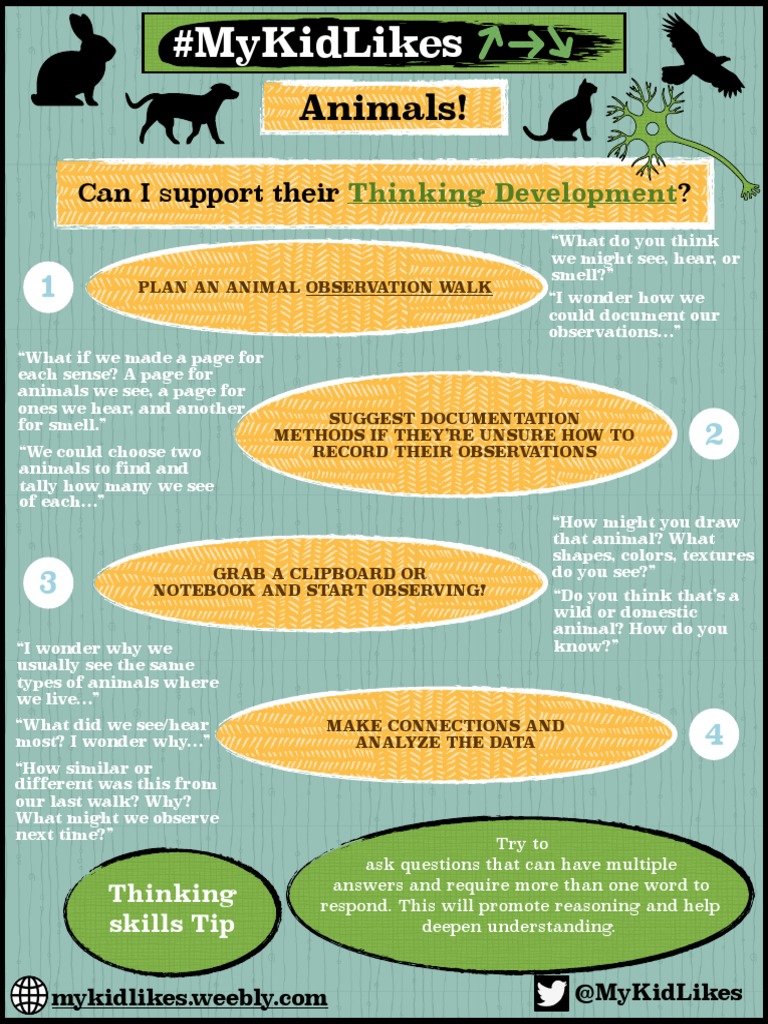 Animals Thinking Final | PDF
