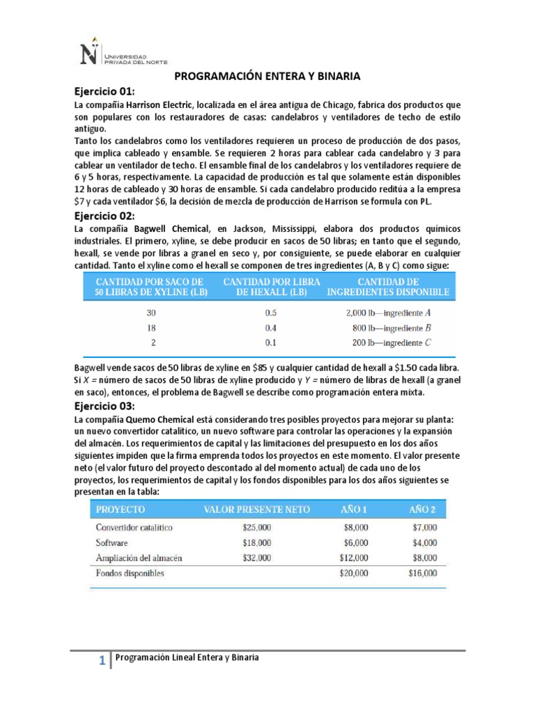 Clase 02 - Ejercicios Propuestos PLE | PDF | Economias | Informática y tecnología de la información