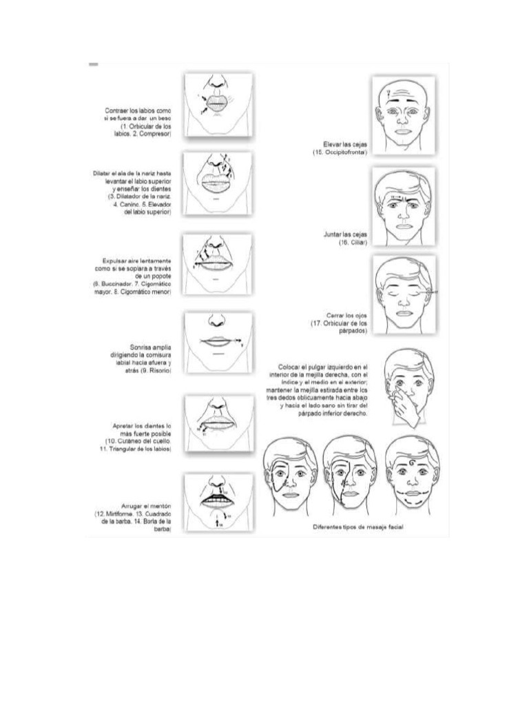 Masajes Oromotores | PDF
