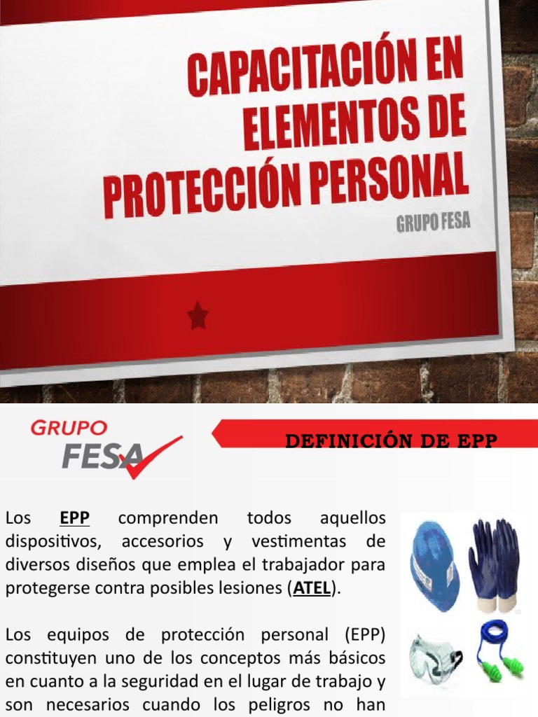 Definición y Uso de EPP en Trabajo | PDF | Naturaleza