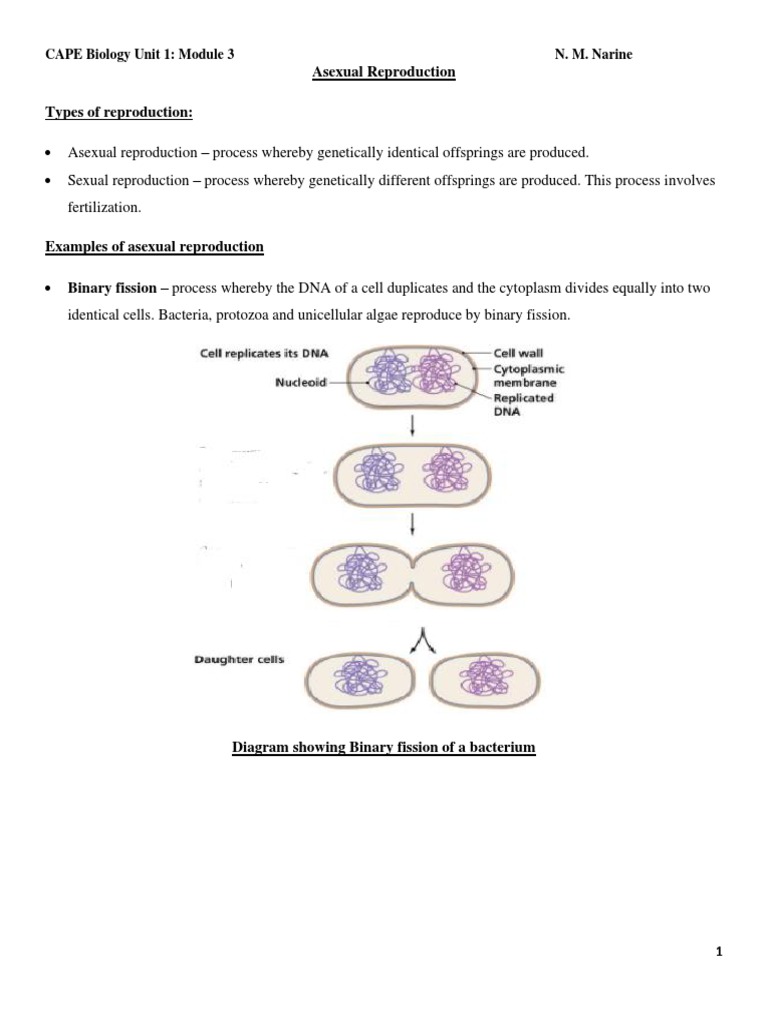 Unit 1 Module 3 Rep in Plants | PDF | Sexual Reproduction | Fertilisation