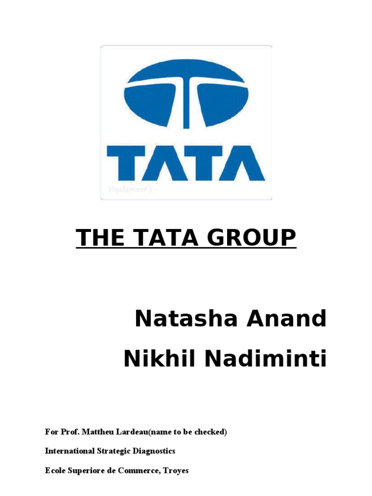 Tata Group Report | PDF | Energy And Resource | Business