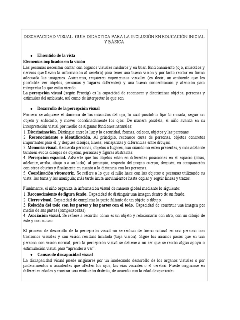 Guía didáctica para la inclusión de discapacidad visual en educación ...
