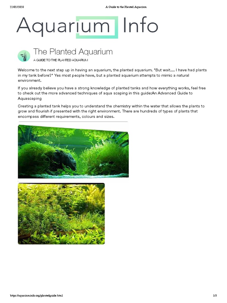 Planted Aquarium Setup Guide | PDF | Aquarium | Plants