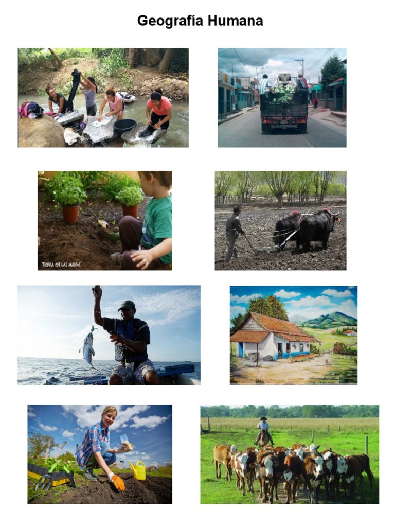 Geografia Humana y Fisica | PDF