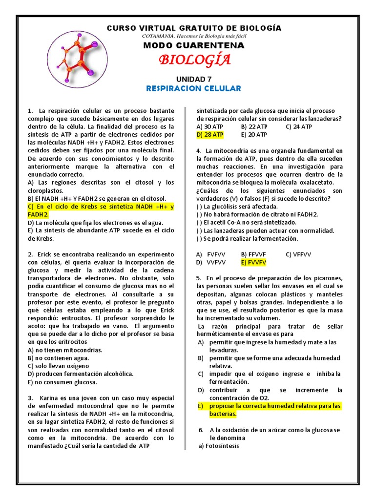 CoTaMaNíA - Resp. Celular - Claves | PDF | Ciclo del ácido cítrico | Dieta y nutrición