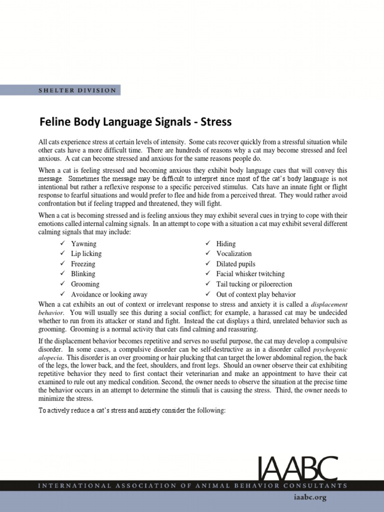 Feline Body Language Signals - Stress | PDF | Anxiety | Cats