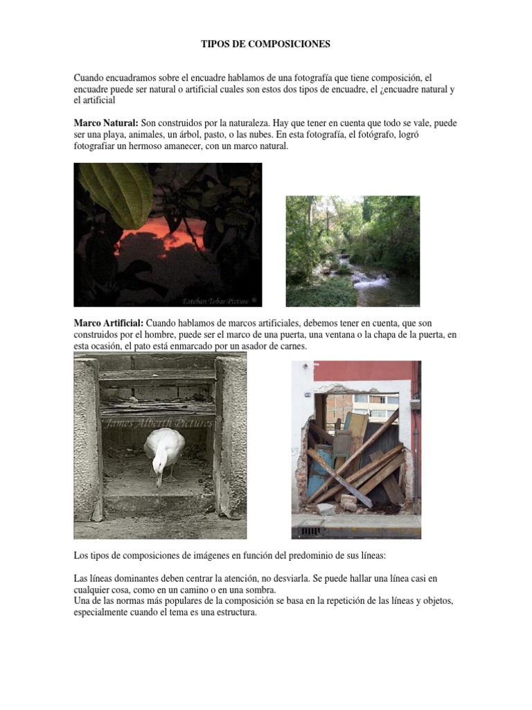 Tipos de Composiciones PDF | PDF