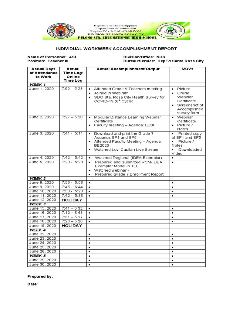 Sample Individual-Workweek-Accomplishment-Report | PDF | Learning