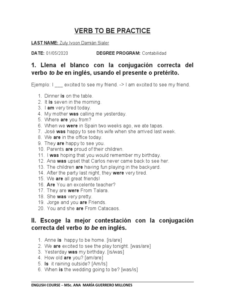 Verb To Be Practice1 Pdf Beekeeper Bees