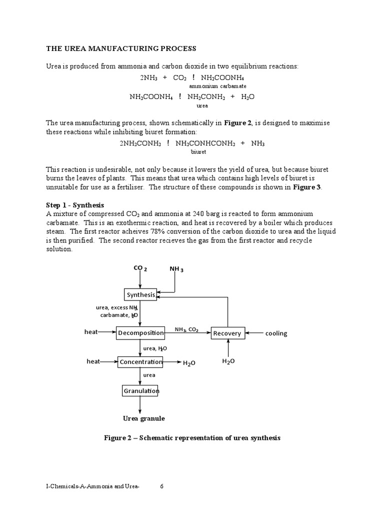 The Urea Manufacturing Process | PDF | Urea | Ammonia