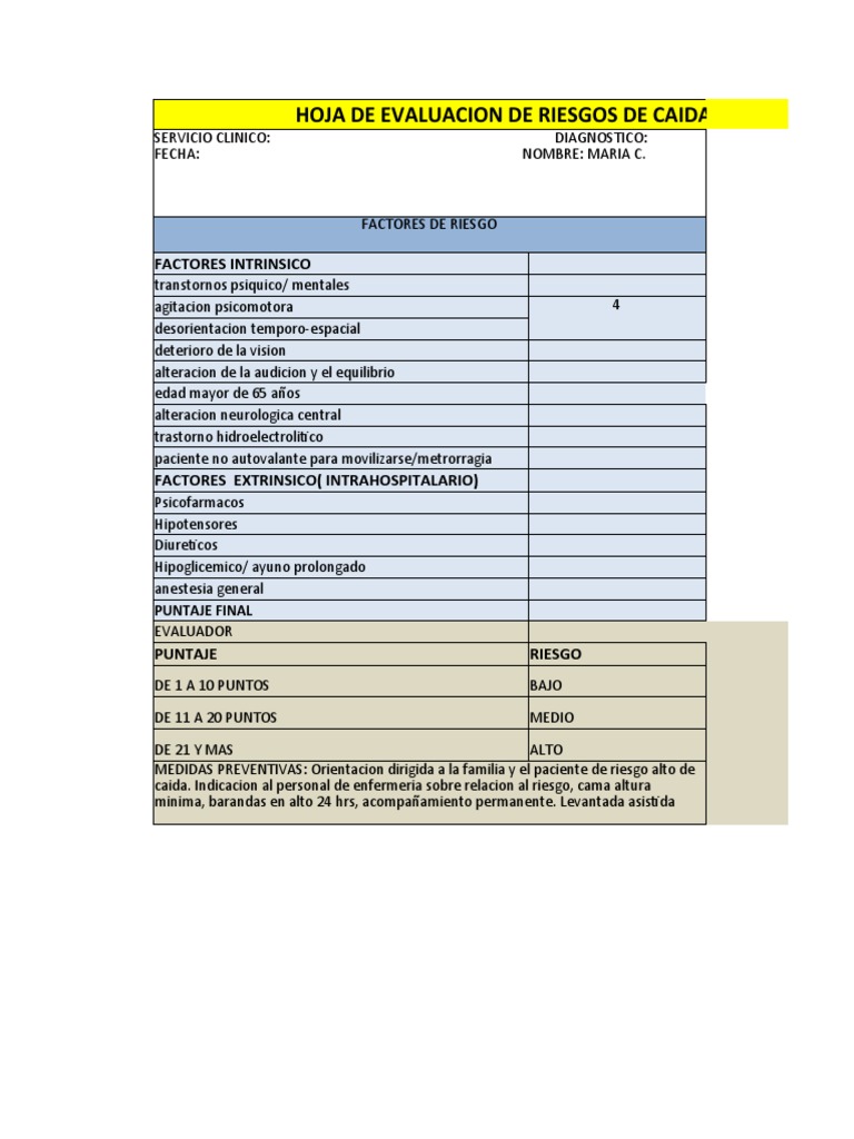 Formato Riesgos de Caidas | PDF