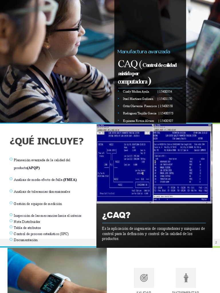 CAQ Final | PDF | Software | Estadísticas