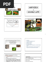 Salamander Classification & Dichotomous Key - With Answers | PDF ...