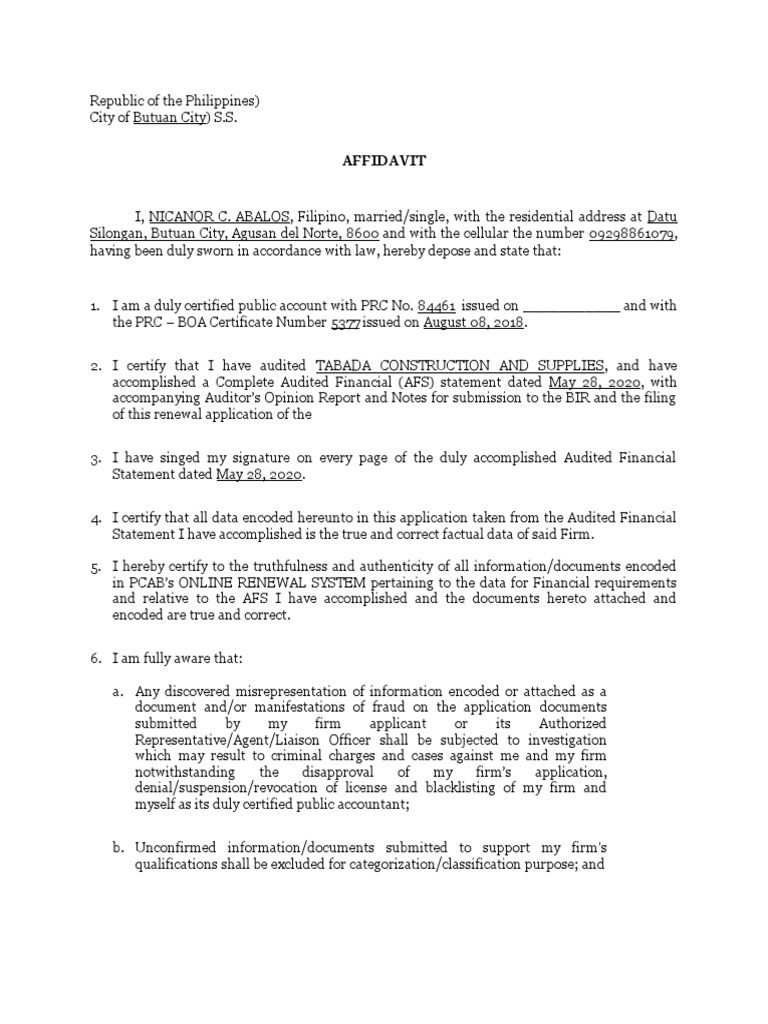 Auditor Affidavit | PDF | Affidavit | Government Information